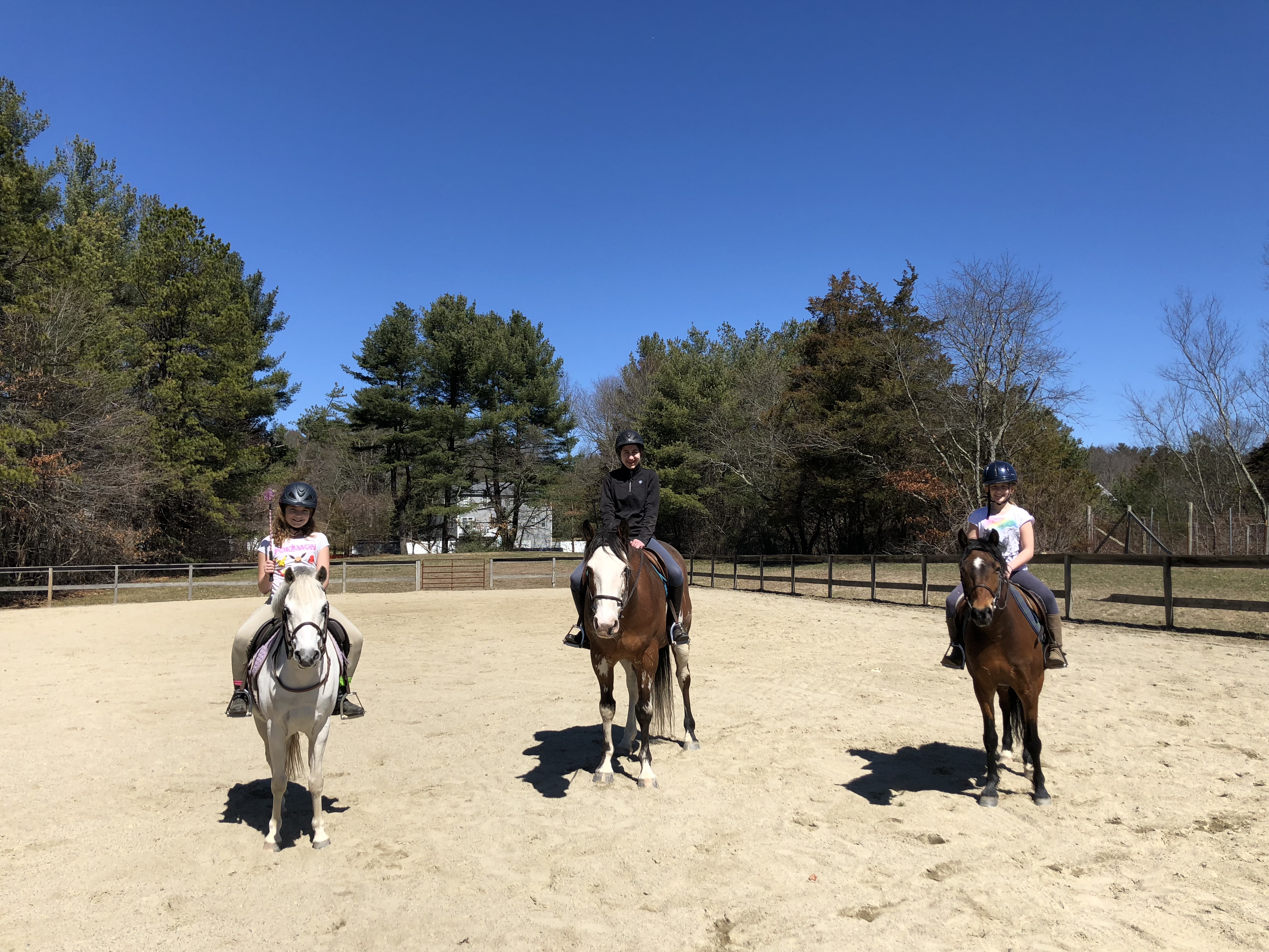 Horseback Riding Lessons