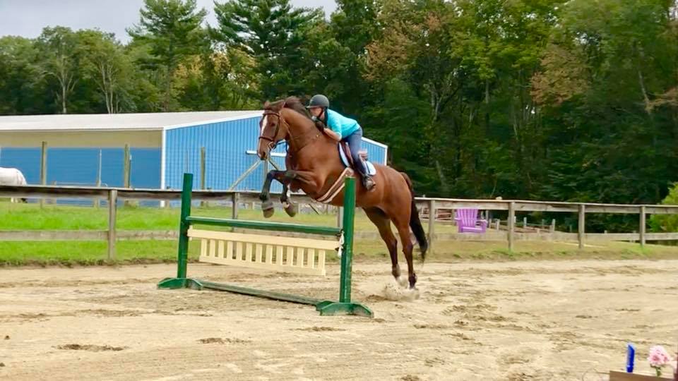 Horseback Riding Lessons