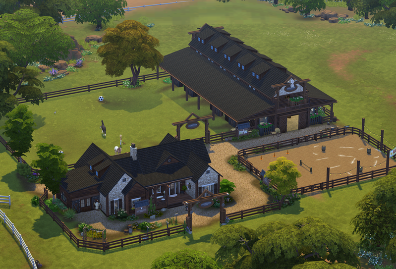 ABOUT US | BuckarooRanch