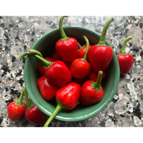 Pimento Pepper (Cherry pepper) | O' naturale
