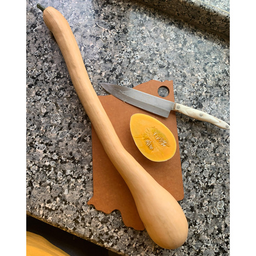 Zucchino Rampicante Squash | O' naturale