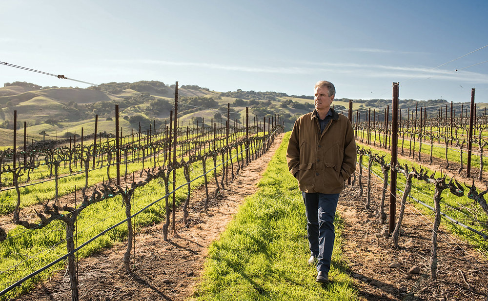 Why Wineries Fail