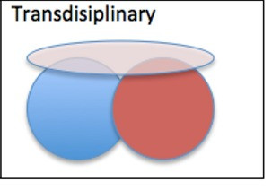 Transdisciplinary Approach - What Does It Mean?