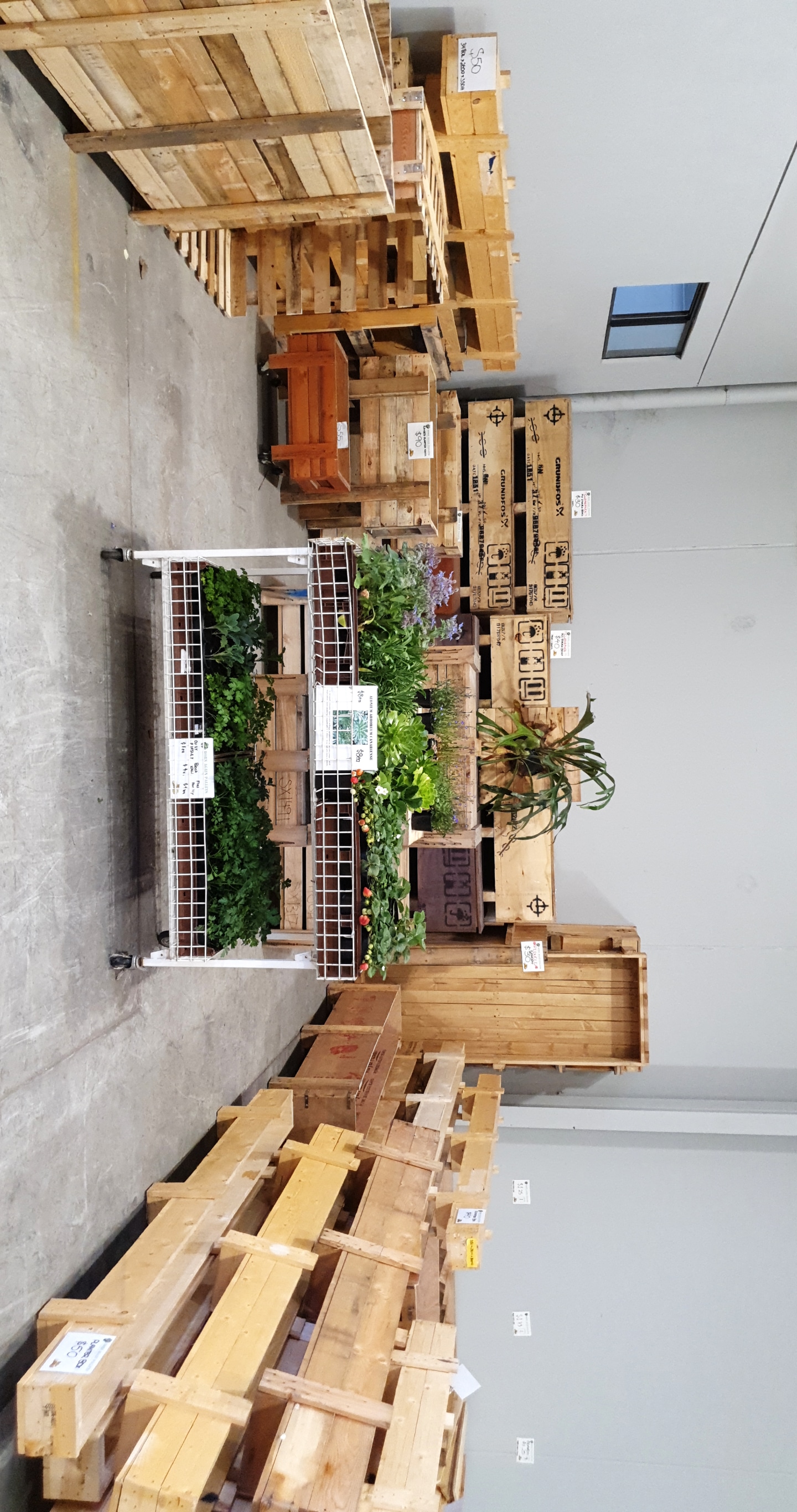 Born Again Pallets | Adelaide | South Australia