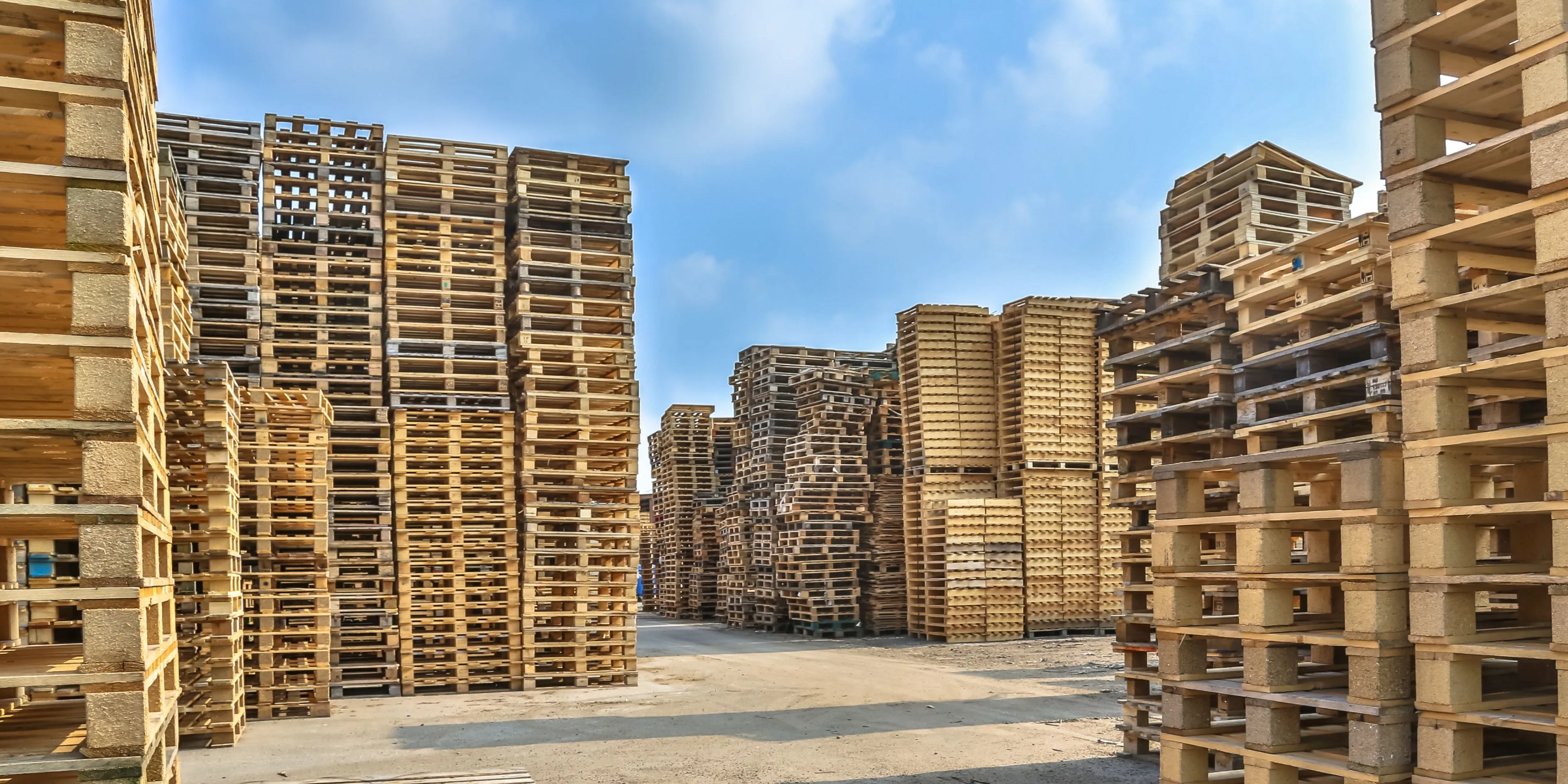 Born Again Pallets | Pallet Recycling & Manufacturing | Athol Park ...