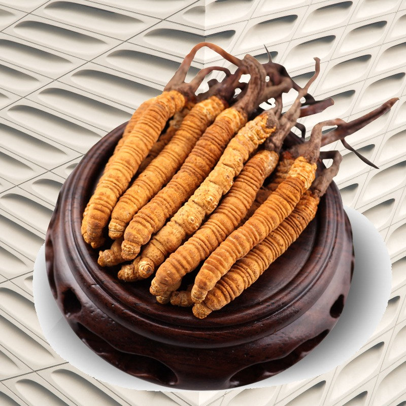 Unveiling the Power of Cordyceps: A Game-Changer for Health