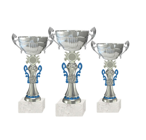 SETIBLAS12- Set de copas (valor neto): | lasercomplot