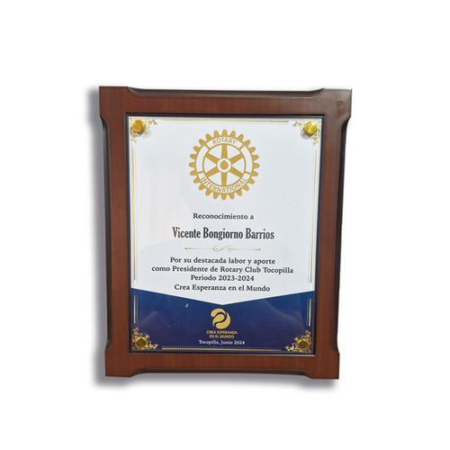 QDGMNOBLE - Galvano de Madera con Acrílico Color (valor neto ...