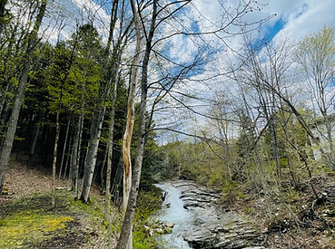 Town of Danby Vermont