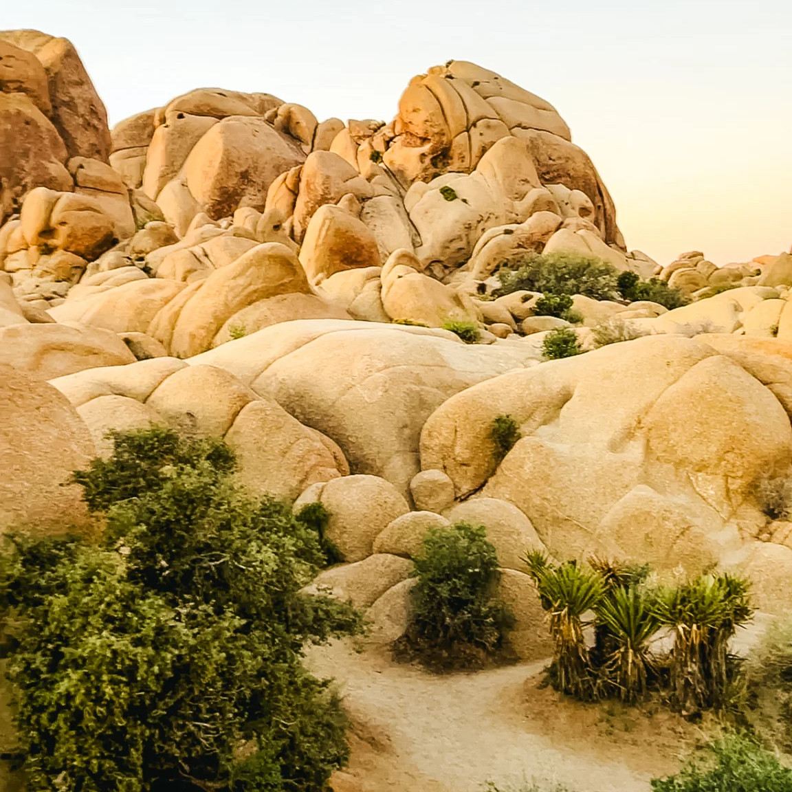 Exploring Joshua Tree - Perfect Day Trip from Los Angeles