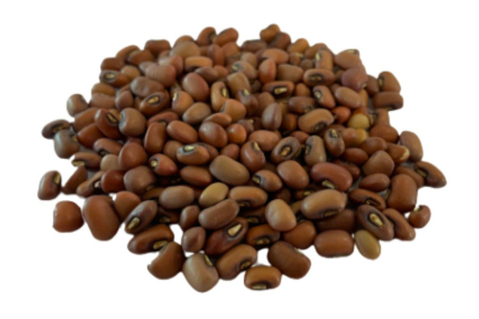 Red Caloona Cow Pea | TFB Trading