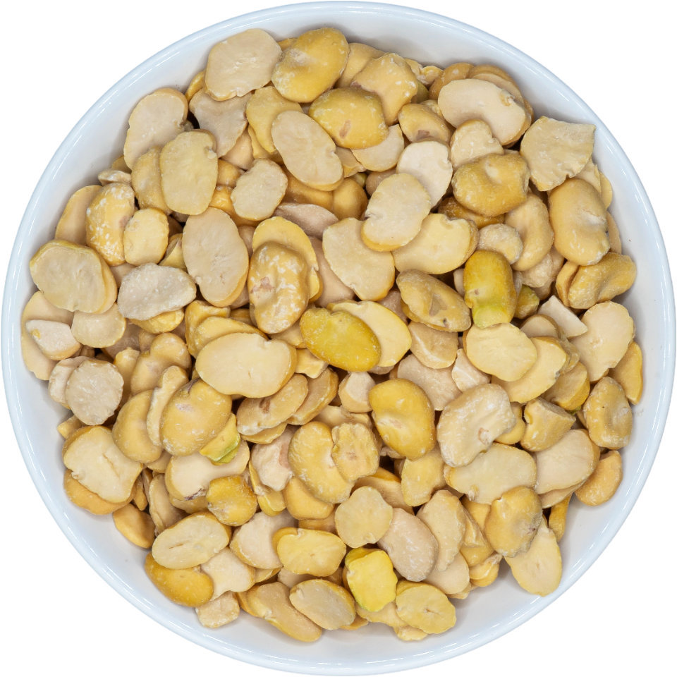 Faba Bean Splits Supplier & Distributor | TFB Trading