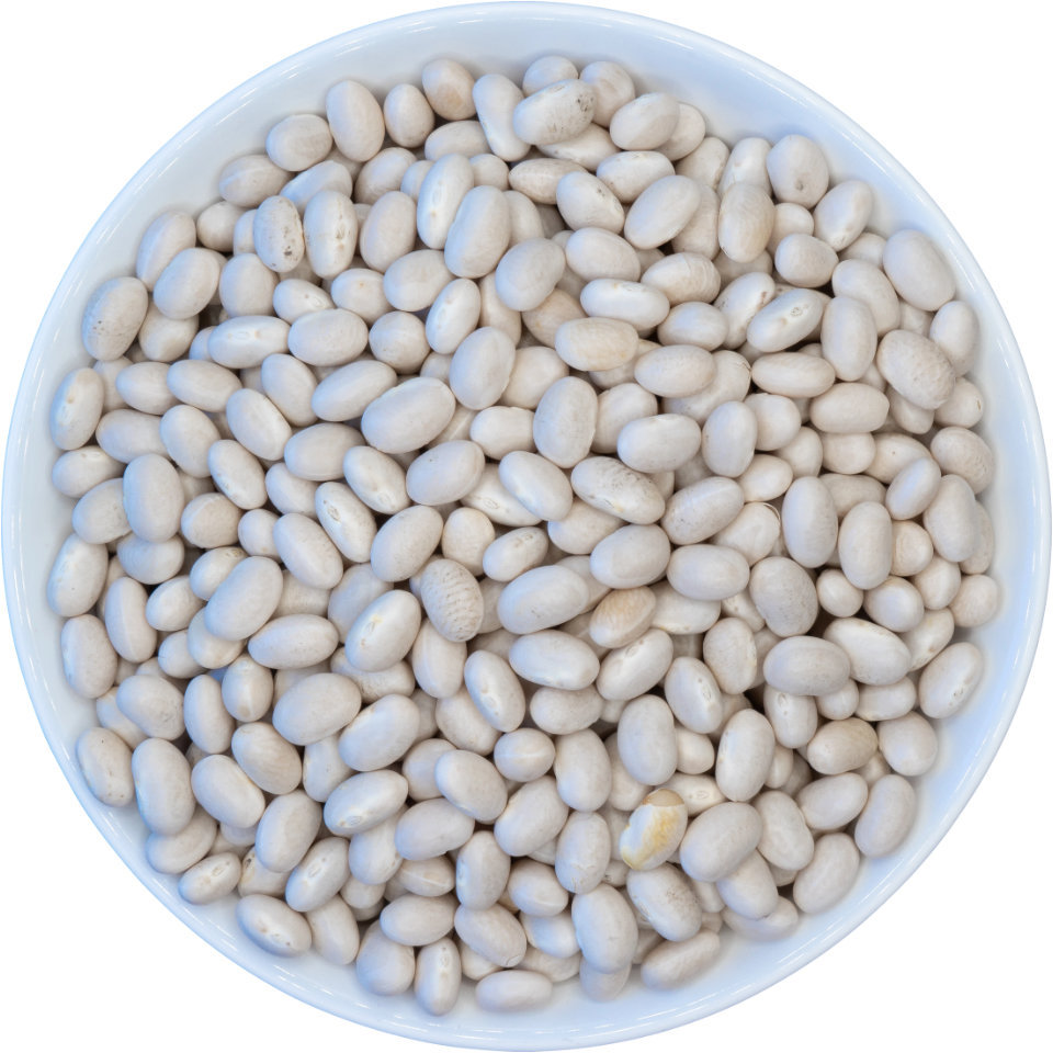 Haricot (Navy) Beans Supplier & Distributor | TFB Trading