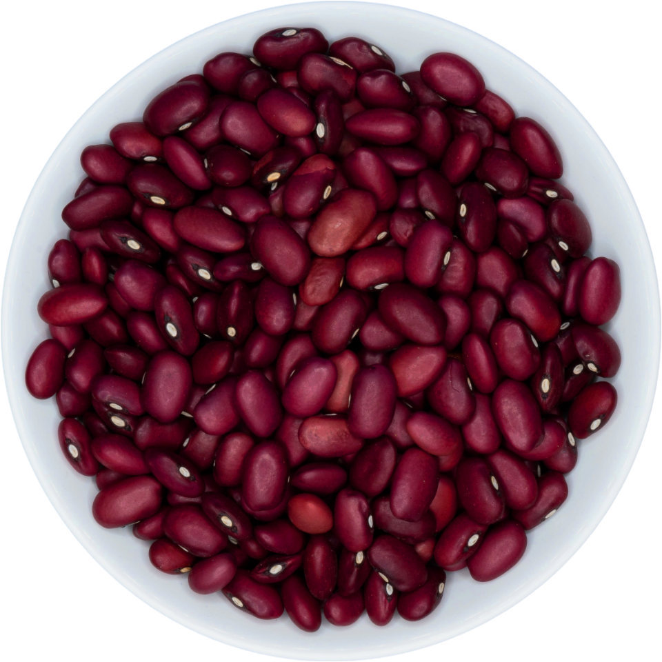 Small Red Beans Supplier & Distributor | TFB Trading