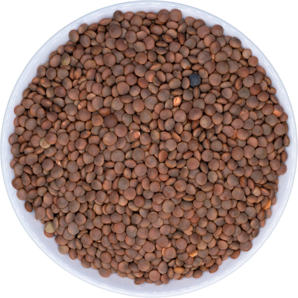 Red Whole Lentils - Skin On Supplier & Distributor | TFB Trading