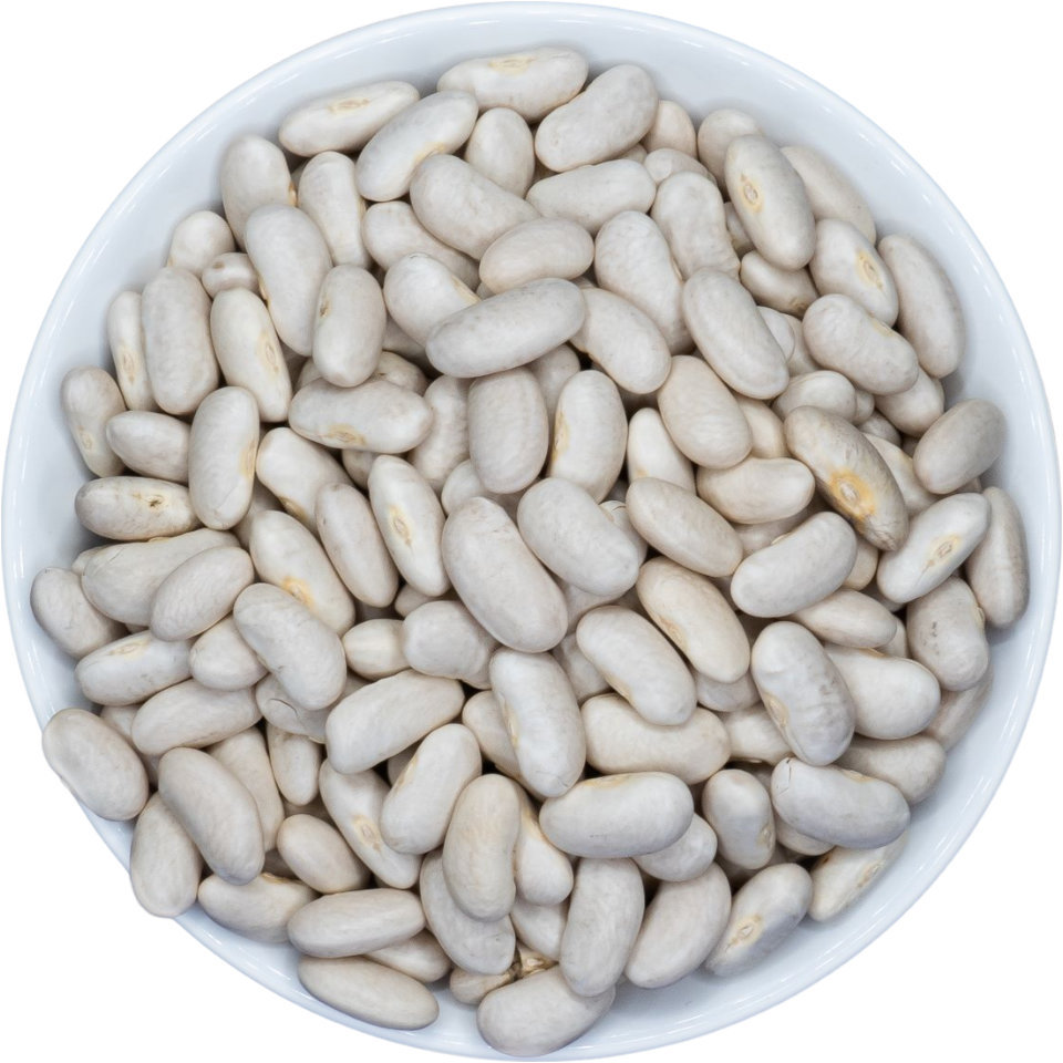 Cannellini Beans Supplier & Distributor | TFB Trading