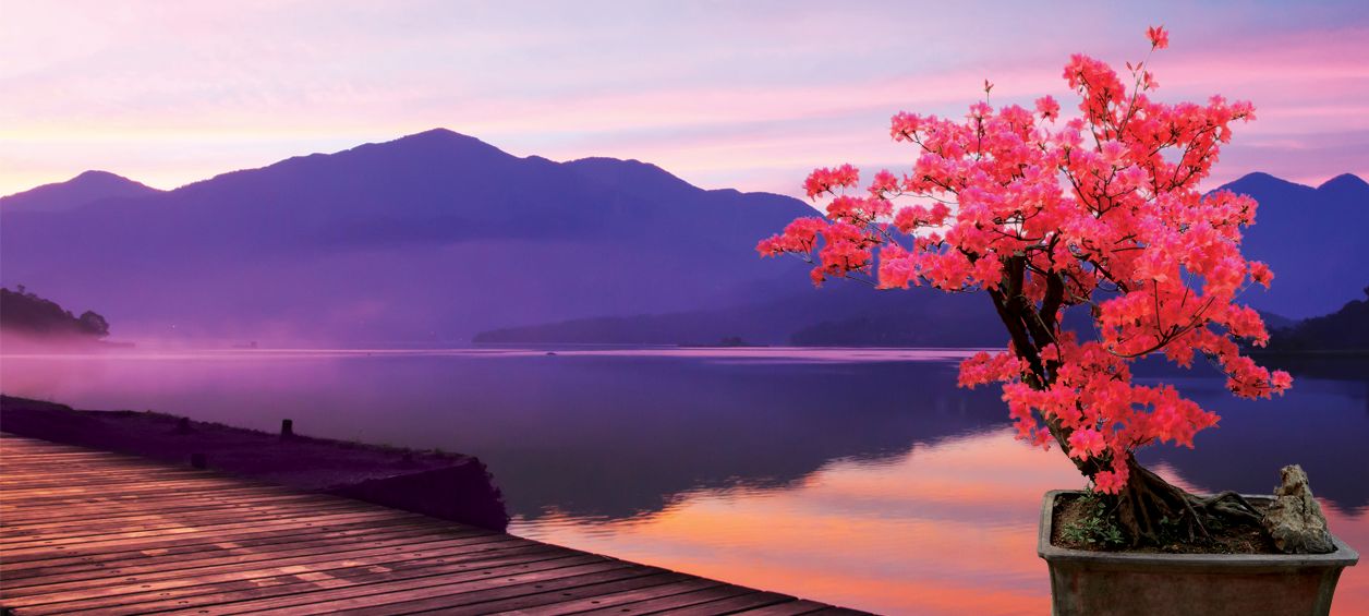 Wholesale Cannabis Products WA | Washington State Cannabis