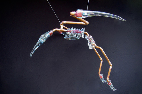 Ibis Bird Skeleton | sarahaband