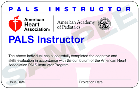 PALS Instructor | cpraces