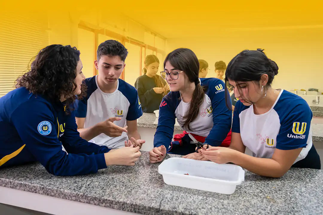 Colégio Unimor | Infantil ao Ensino Médio | São Paulo