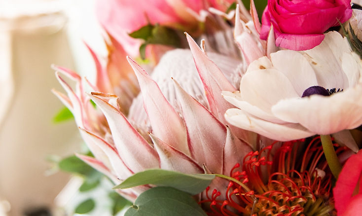 Amber Elena Photography | Mississippi Gulf Coast Photographer