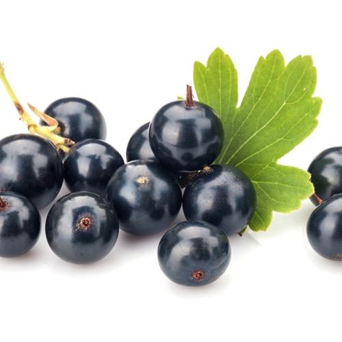 Damascone | Global Exim Group