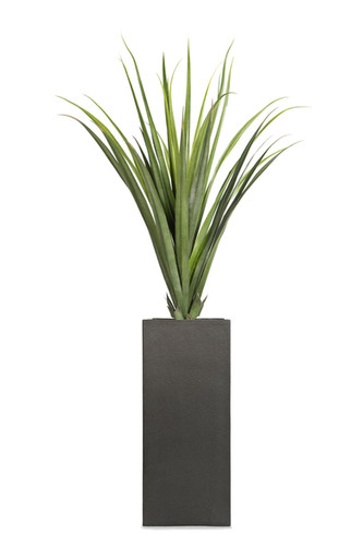 Artificial Pandanus with Geo Square Planter