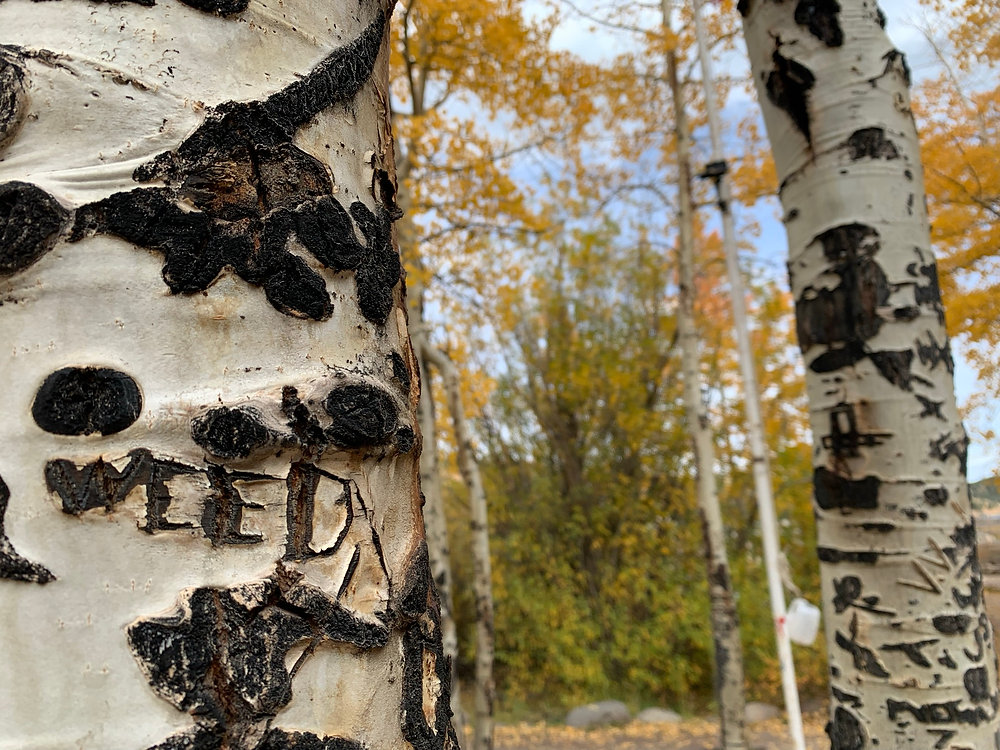 Fall Photos: Nederland, Colorado