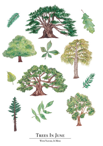 Trees In June Illustration Art Print | Wild City UK
