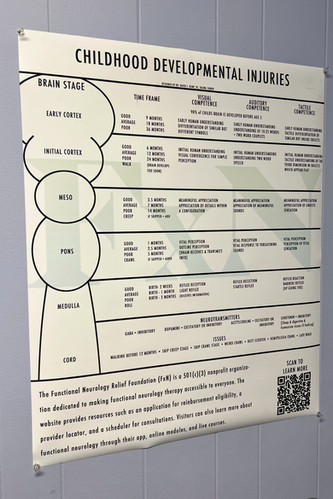 FxN Childhood Developmental Injuries Poster - 24"x30" | Bayside Productions