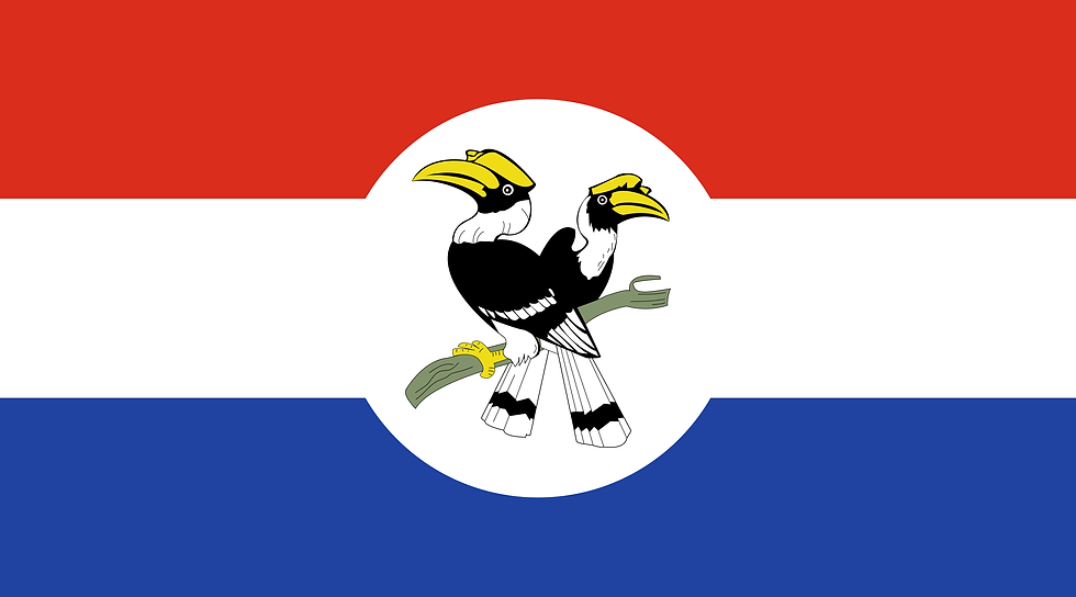 Chin National Front