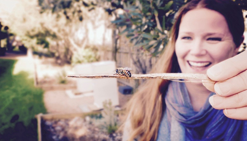 A Lil'Story | Lil'Bit Better