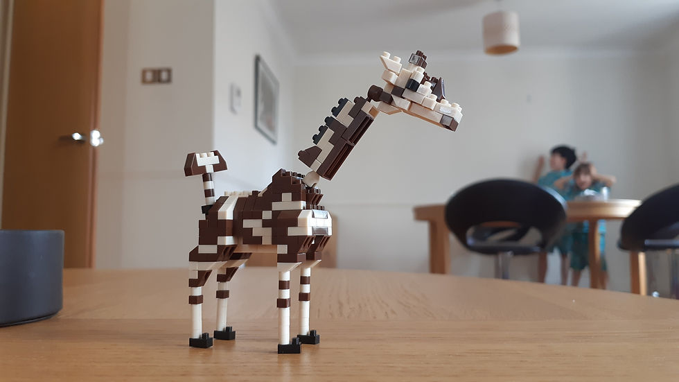 Nano Giraffe