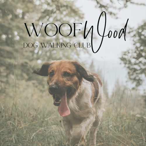 Dog Walker and Petcare Professional servicing Wakefield | WoofWood Dog ...