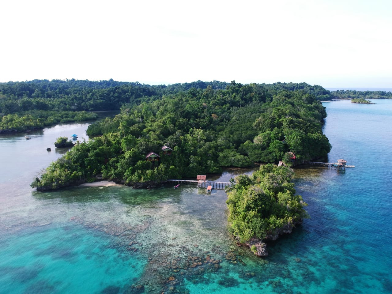 Diving Sulawesi | Araya Dive Resort Togean
