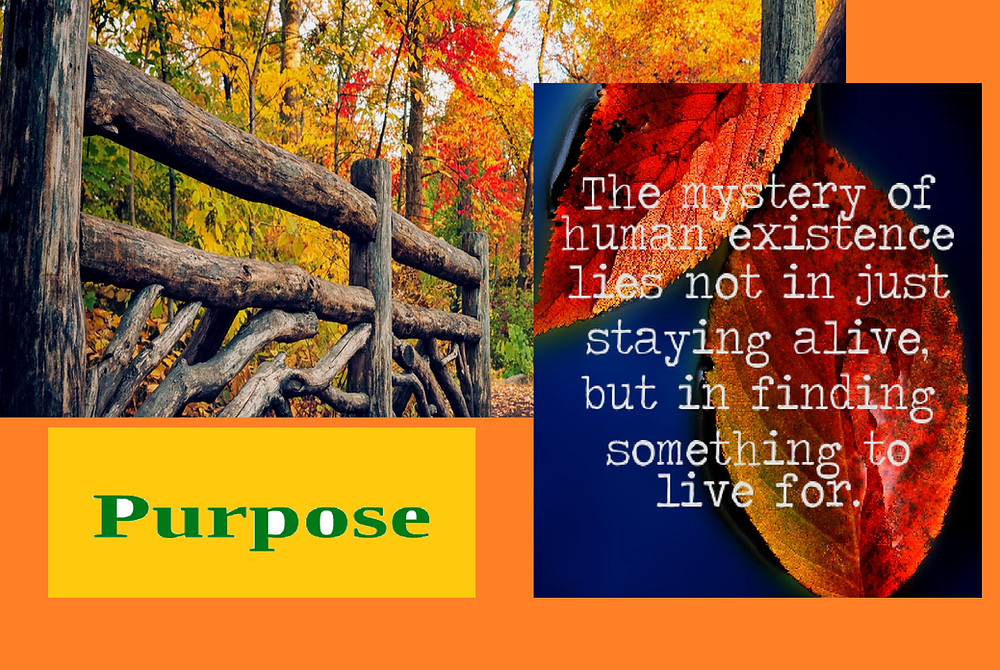 The mystery of human existence lies not in just staying alive, but in ...