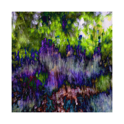 Day 201 | R Young Art Gallery