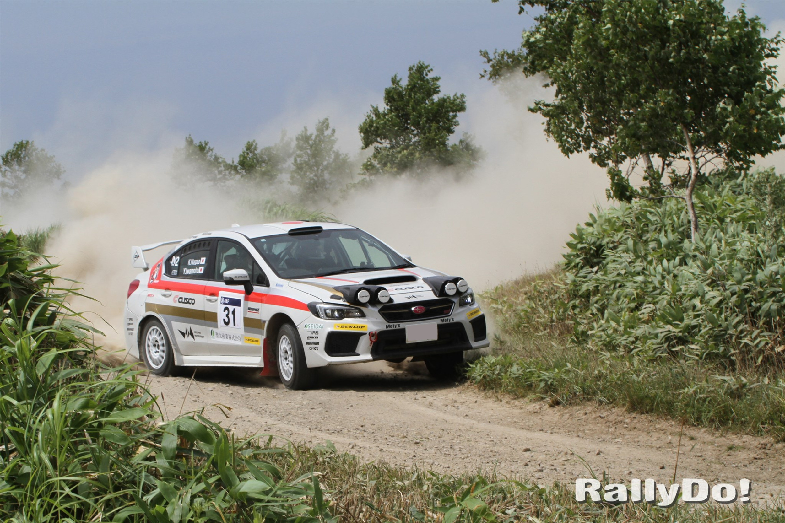 EZO SUMMER Rally | rallydo