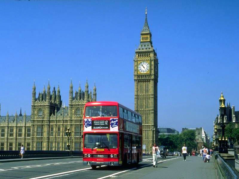 Aula Particular Ingles | Madison School | Brasil