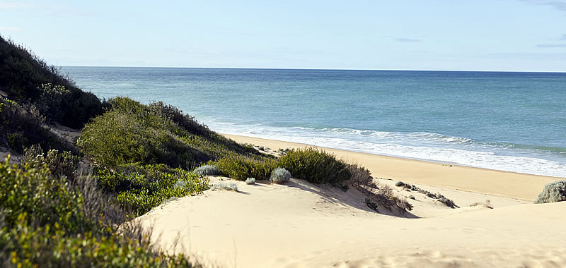 About | Ocean Grange Homestead