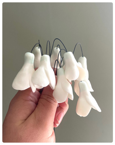 Snowdrop Stem | philippawhiteside