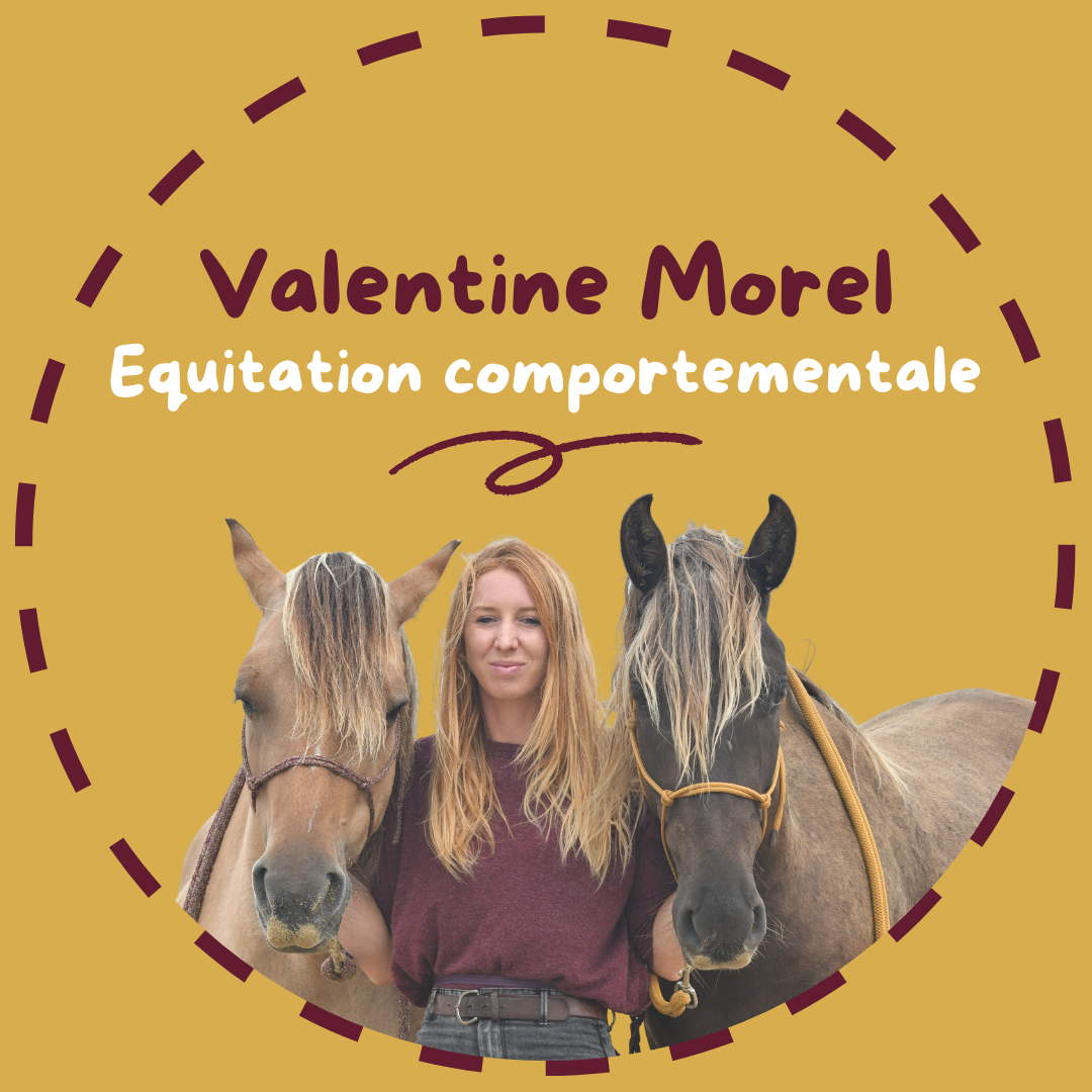 Blog | Valentine Morel