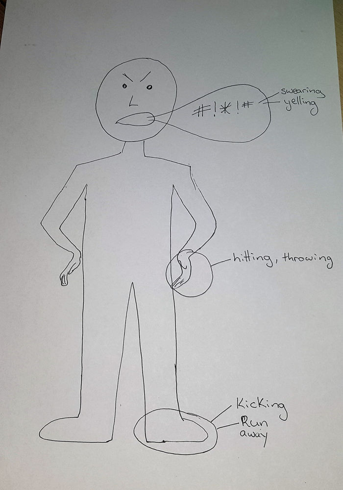 The Many shades of Anger