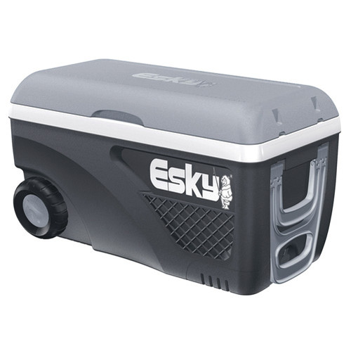 Esky box 65L with 30kg of ice 65公升冰箱連30公斤冰粒(3包)