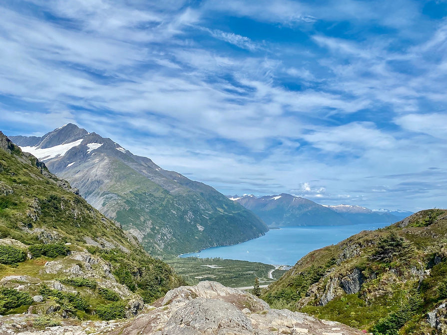 Caribou Tours | Turnagain arm tour