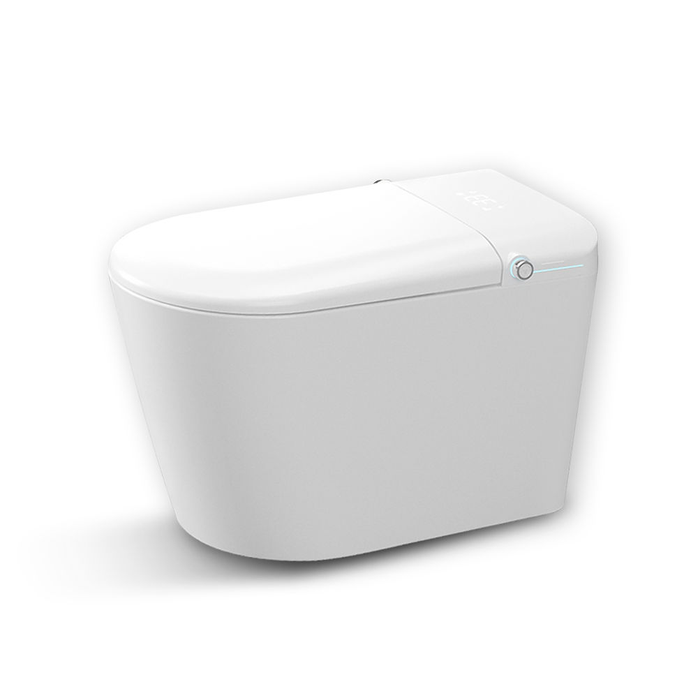 Smart Toilet | Kanzen Home
