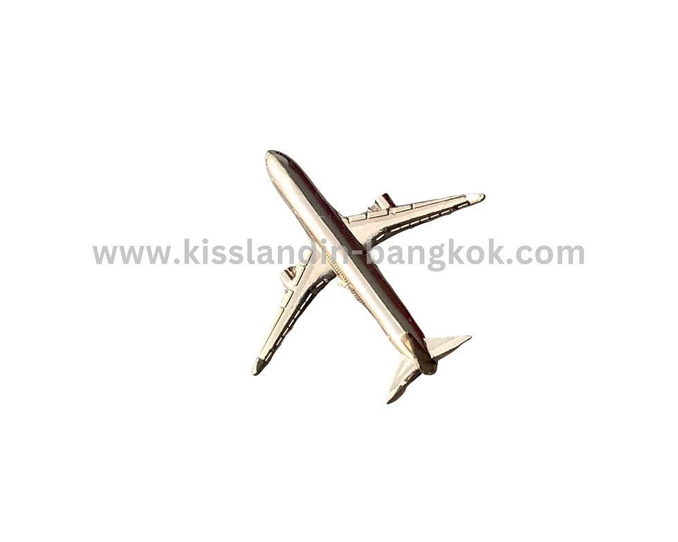 Aviation Pins | Kisslanding Pilot Shop | Bangkok