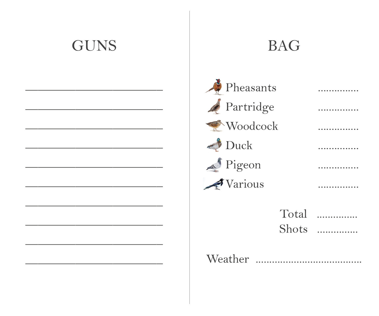 sophiebotsfordart | SHOOT CARDS