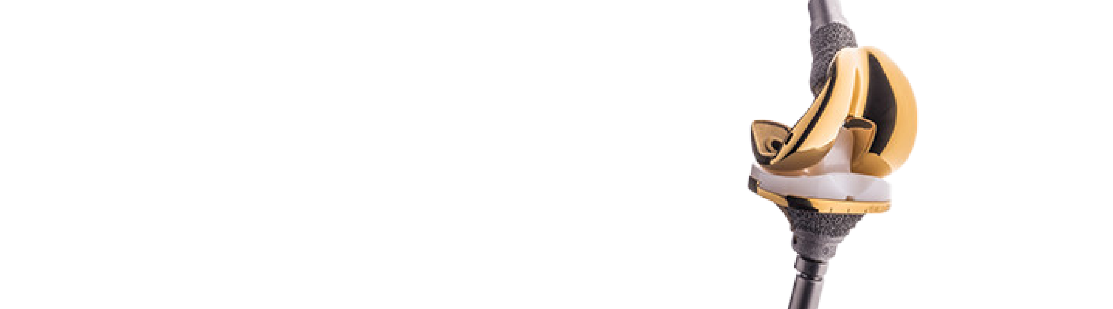 EPORE® Metaphyseal Components | Joint Reconstruction | PHAROS | Medical ...