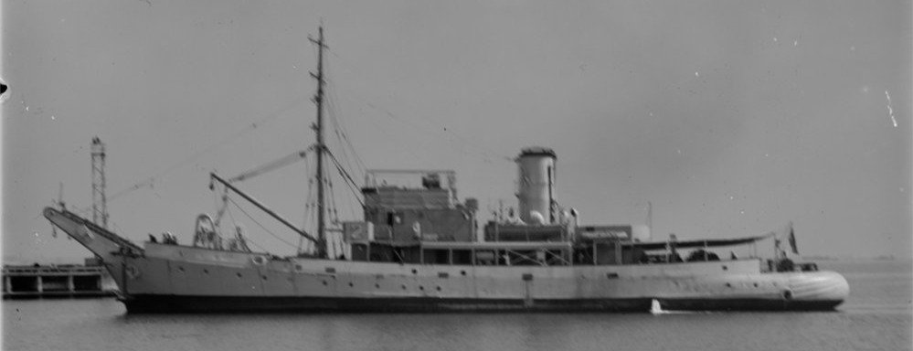 HMAS Koala